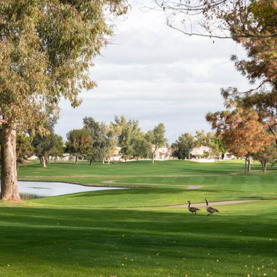 Ocotillo, Chandler AZ - Neighborhood Guide | Trulia