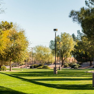 Ray Ranch, Chandler AZ - Neighborhood Guide | Trulia