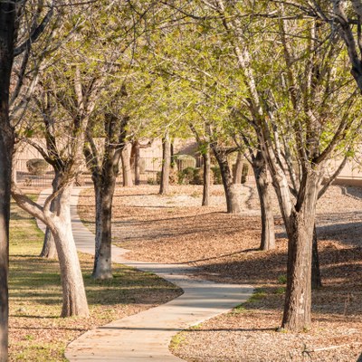 Ashland Ranch, Gilbert AZ - Neighborhood Guide | Trulia