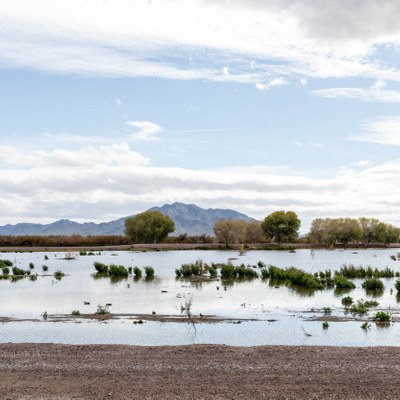 Bridges at Gilbert, Gilbert AZ - Neighborhood Guide | Trulia