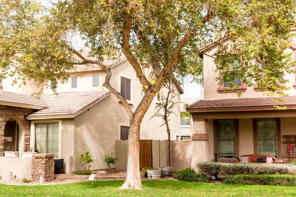 Highland Groves At Morrison Ranch, Gilbert AZ - Neighborhood Guide | Trulia