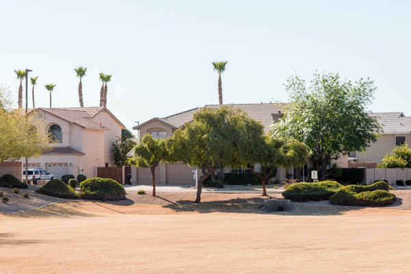Lindsay Ranch, Gilbert AZ - Neighborhood Guide | Trulia
