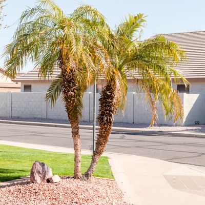 Lindsay Ranch, Gilbert AZ - Neighborhood Guide | Trulia
