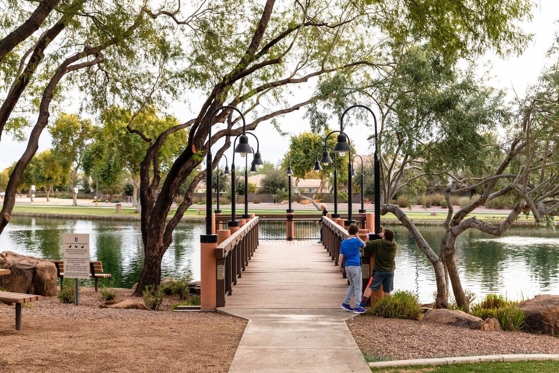 Power Ranch, Gilbert AZ - Neighborhood Guide | Trulia