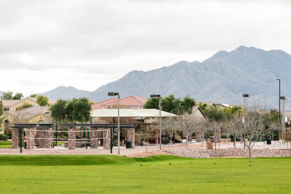 Shamrock Estates, Gilbert AZ - Neighborhood Guide | Trulia