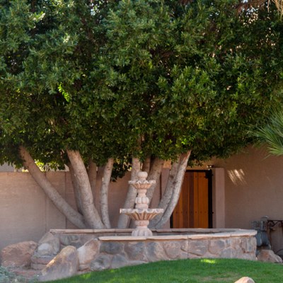 Silverstone Ranch, Gilbert AZ - Neighborhood Guide | Trulia