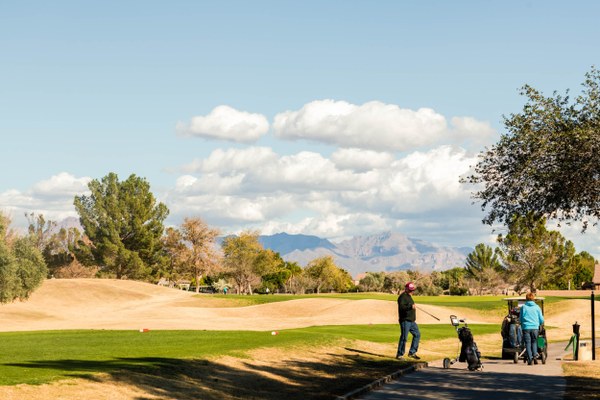 Augusta Ranch, Mesa AZ - Neighborhood Guide | Trulia