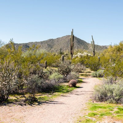 Red Mountain Ranch, Mesa AZ - Neighborhood Guide | Trulia