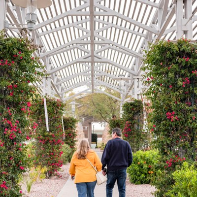 Desert View, Phoenix AZ - Neighborhood Guide | Trulia