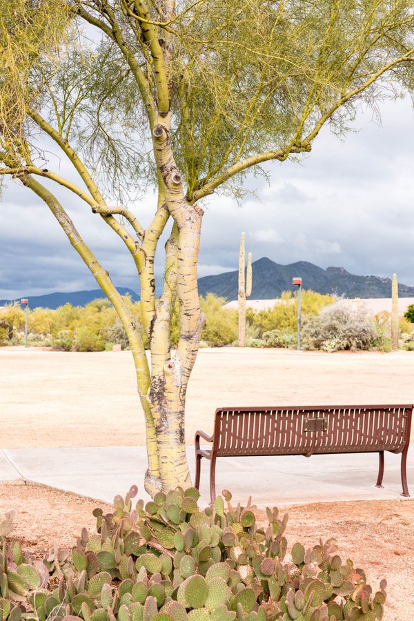 Desert View, Phoenix AZ - Neighborhood Guide | Trulia