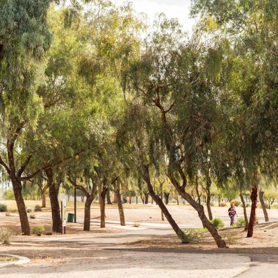North Mountain, Phoenix AZ - Neighborhood Guide | Trulia