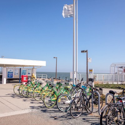 Bay Farm Island, Alameda CA - Neighborhood Guide | Trulia