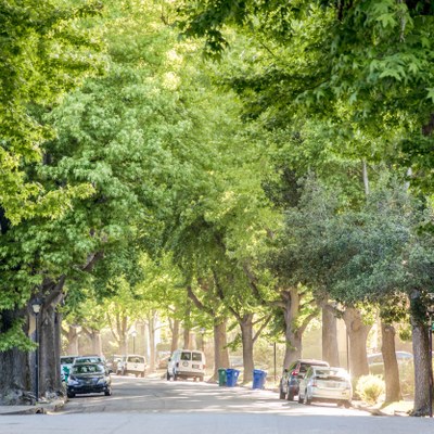 Fernside, Alameda CA - Neighborhood Guide | Trulia