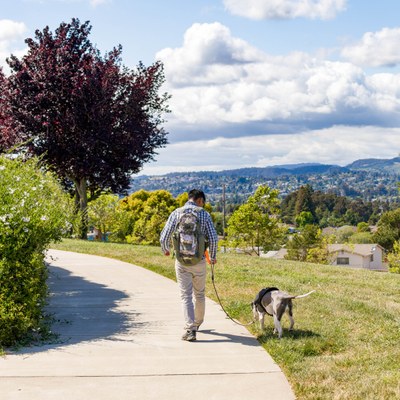 Fairview, Hayward CA - Neighborhood Guide | Trulia