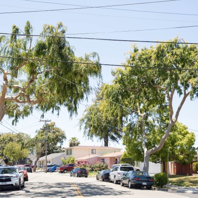 Jackson Triangle, Hayward CA - Neighborhood Guide | Trulia