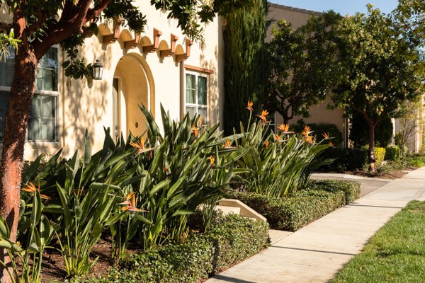 Portola Springs, Irvine CA - Neighborhood Guide | Trulia
