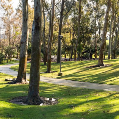 Turtle Rock, Irvine CA - Neighborhood Guide | Trulia