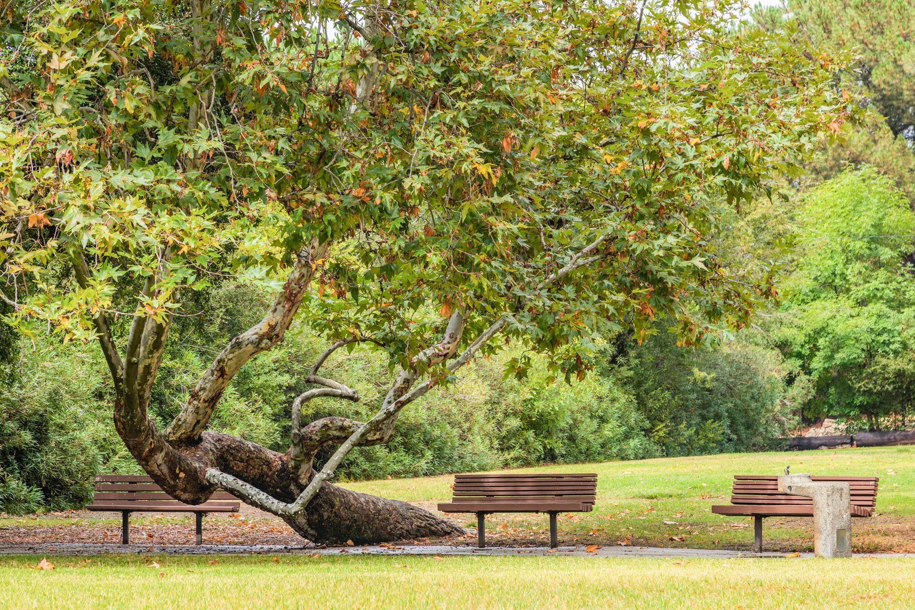 Tujunga, Los Angeles CA - Neighborhood Guide | Trulia