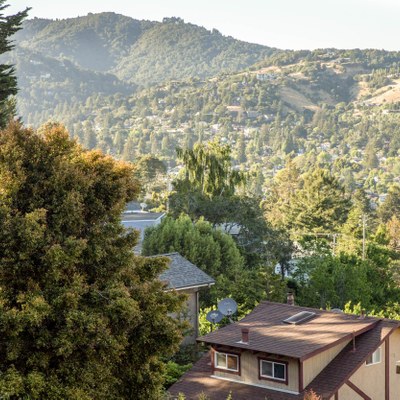 Almonte, Mill Valley CA - Neighborhood Guide | Trulia