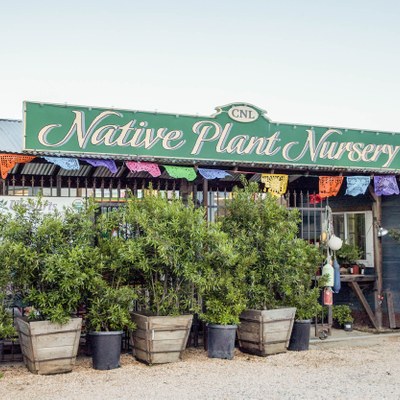 Almonte, Mill Valley CA - Neighborhood Guide | Trulia