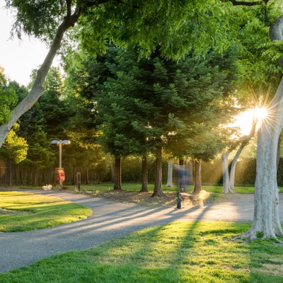 Monta Loma, Mountain View CA - Neighborhood Guide | Trulia