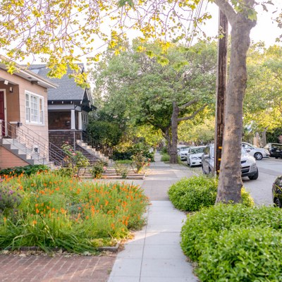 Rockridge, Oakland CA - Neighborhood Guide | Trulia