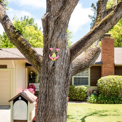 Poets Corner, Pleasant Hill CA - Neighborhood Guide | Trulia