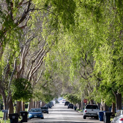Verdemont, San Bernardino CA - Neighborhood Guide | Trulia