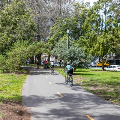 Panhandle, San Francisco CA - Neighborhood Guide | Trulia