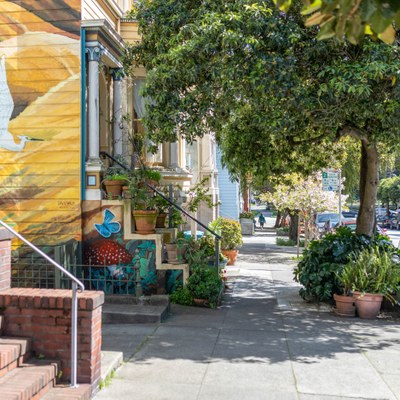 Panhandle, San Francisco CA - Neighborhood Guide | Trulia