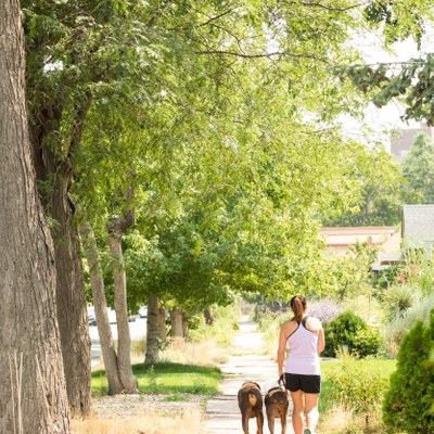 Baker, Denver CO - Neighborhood Guide | Trulia