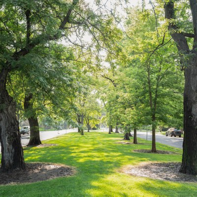 Congress Park, Denver CO - Neighborhood Guide | Trulia