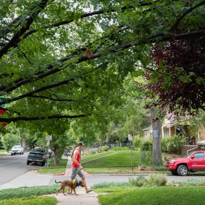 Congress Park, Denver CO - Neighborhood Guide | Trulia