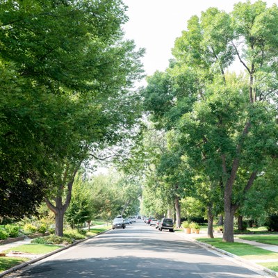 Cory - Merrill, Denver CO - Neighborhood Guide | Trulia