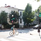 Apartments For Rent in Georgetown; Washington, DC - 142 Rentals | Trulia