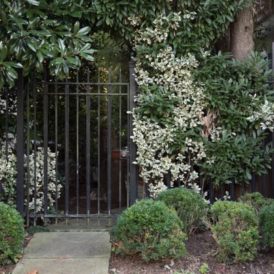 Kalorama, Washington DC - Neighborhood Guide | Trulia