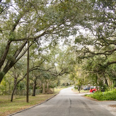 Temple Crest, Tampa FL - Neighborhood Guide | Trulia