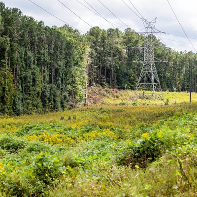 Adamsville, Atlanta GA - Neighborhood Guide | Trulia