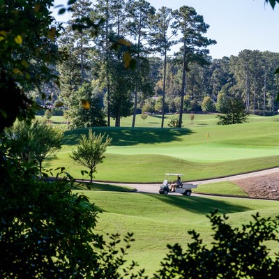 Brookhaven, Atlanta GA - Neighborhood Guide | Trulia