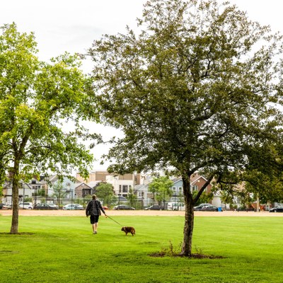 Noble Square, Chicago IL - Neighborhood Guide | Trulia