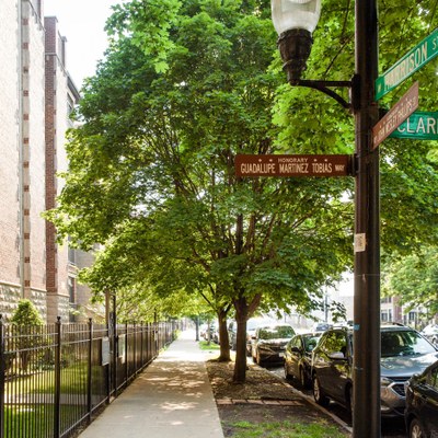 Tri-Taylor, Chicago IL - Neighborhood Guide | Trulia