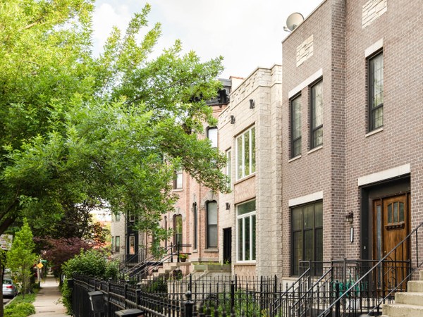 Tri-Taylor, Chicago IL - Neighborhood Guide | Trulia