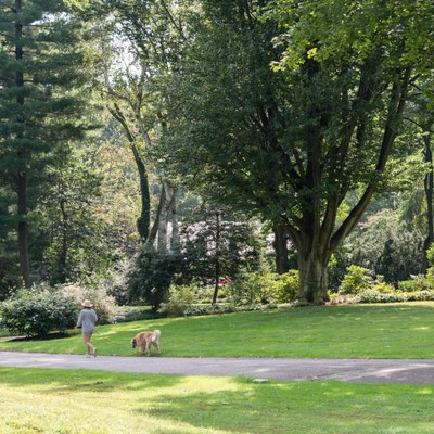 Cedarbrook, Philadelphia PA - Neighborhood Guide | Trulia