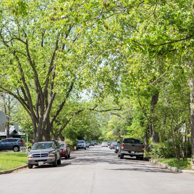 Rosedale, Austin TX - Neighborhood Guide | Trulia