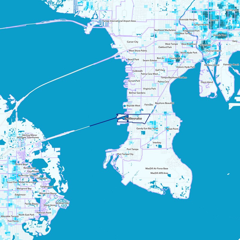 Rattlesnake, Tampa FL - Neighborhood Guide | Trulia