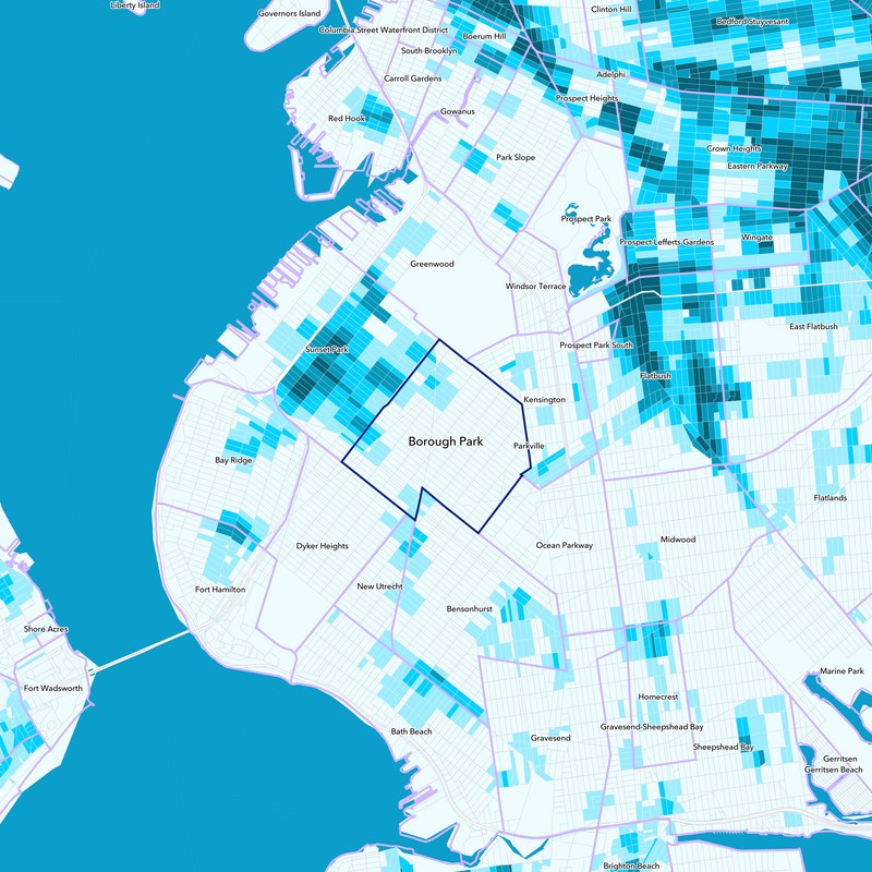 Borough Park, New York NY - Neighborhood Guide | Trulia