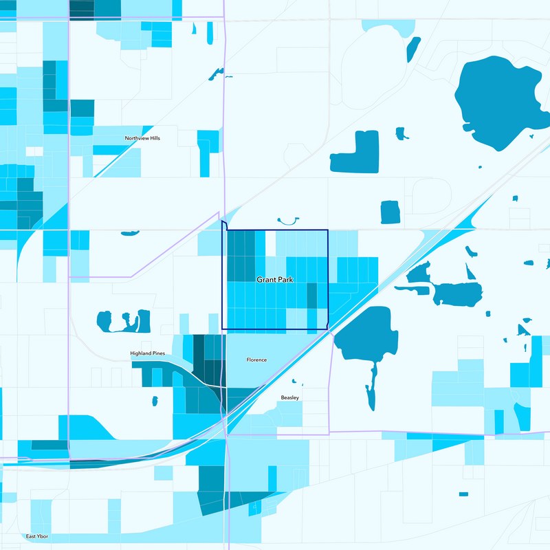 Grant Park, Tampa FL - Neighborhood Guide | Trulia